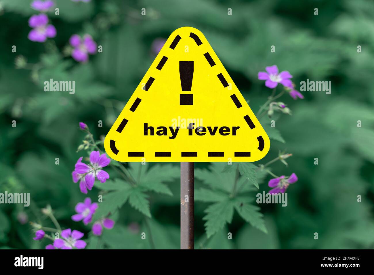 Hay Fever Flowers High Resolution Stock Photography and Images - Alamy