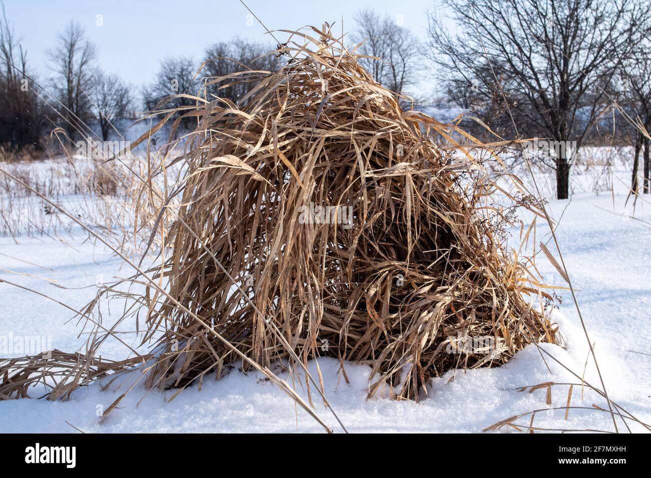 Mound of hay hi-res stock photography and images - Alamy