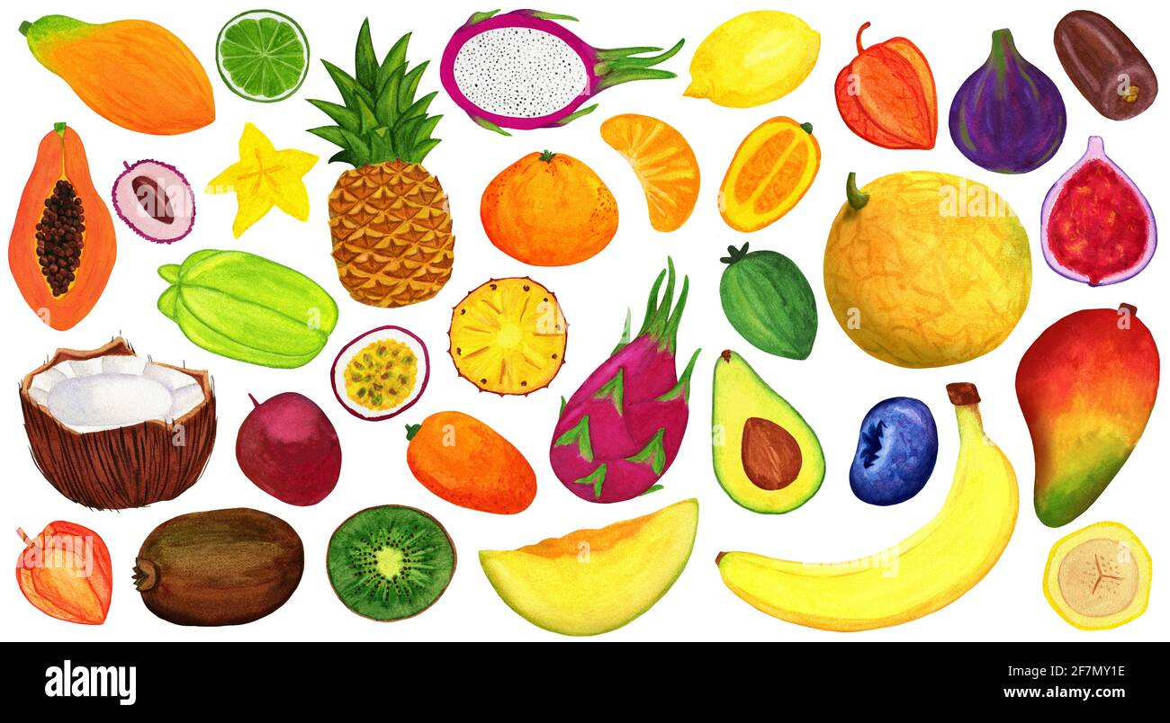 Tropic fruit watercolor set. Exotic sweet thai food isolated on white ...