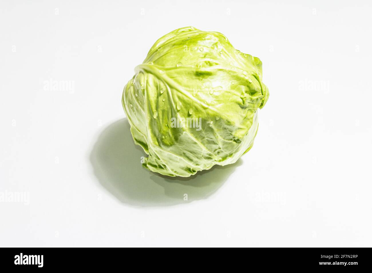 Fresh young cabbage, whole head isolated in white background. Modern ...