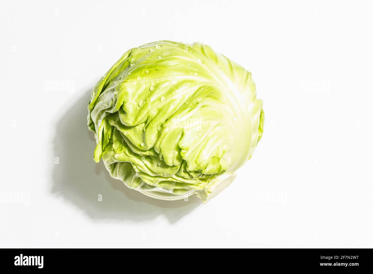 Fresh young cabbage, whole head isolated in white background. Modern ...