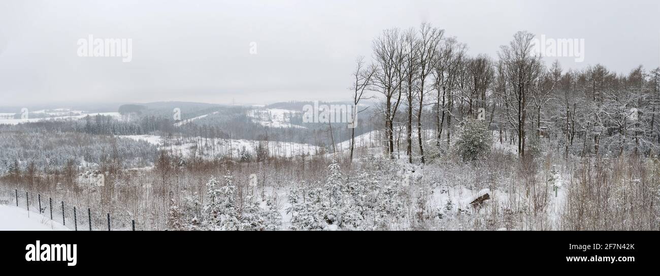 Panoramic view of valleys and plateaus in Germany covered in snow in ...