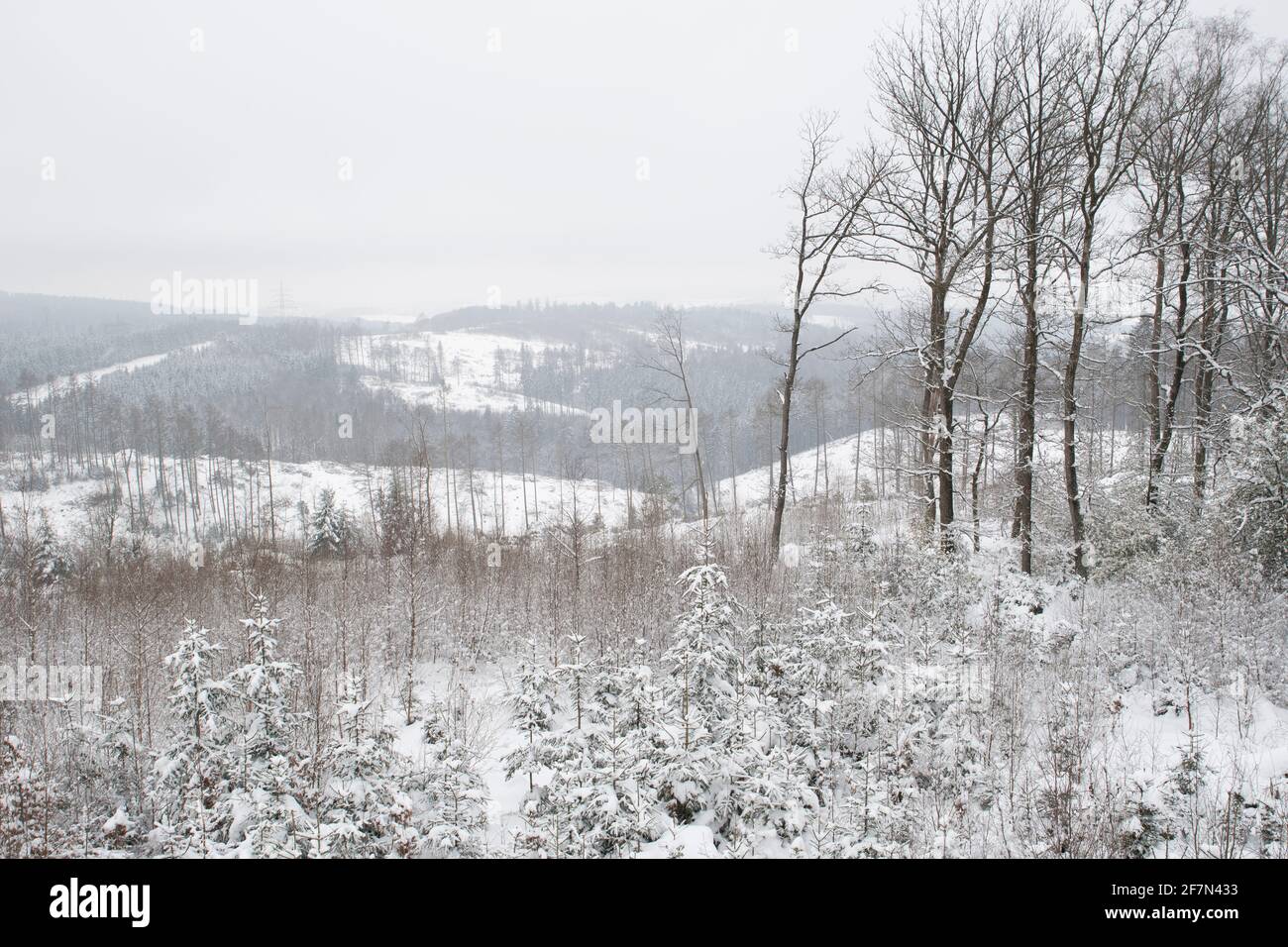 View of valleys and plateaus in Germany covered in snow in winter Stock ...