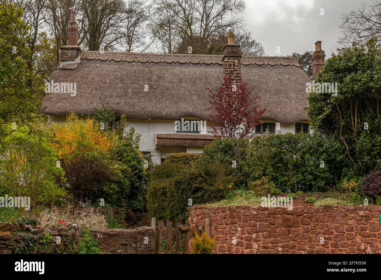 Thatched Cottage in Cockington Devon Stock Photo - Alamy