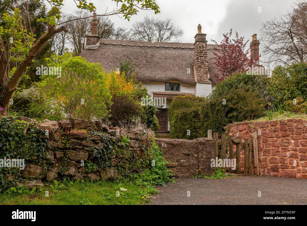 Thatched Cottage in Cockington a village in Devon Stock Photo - Alamy