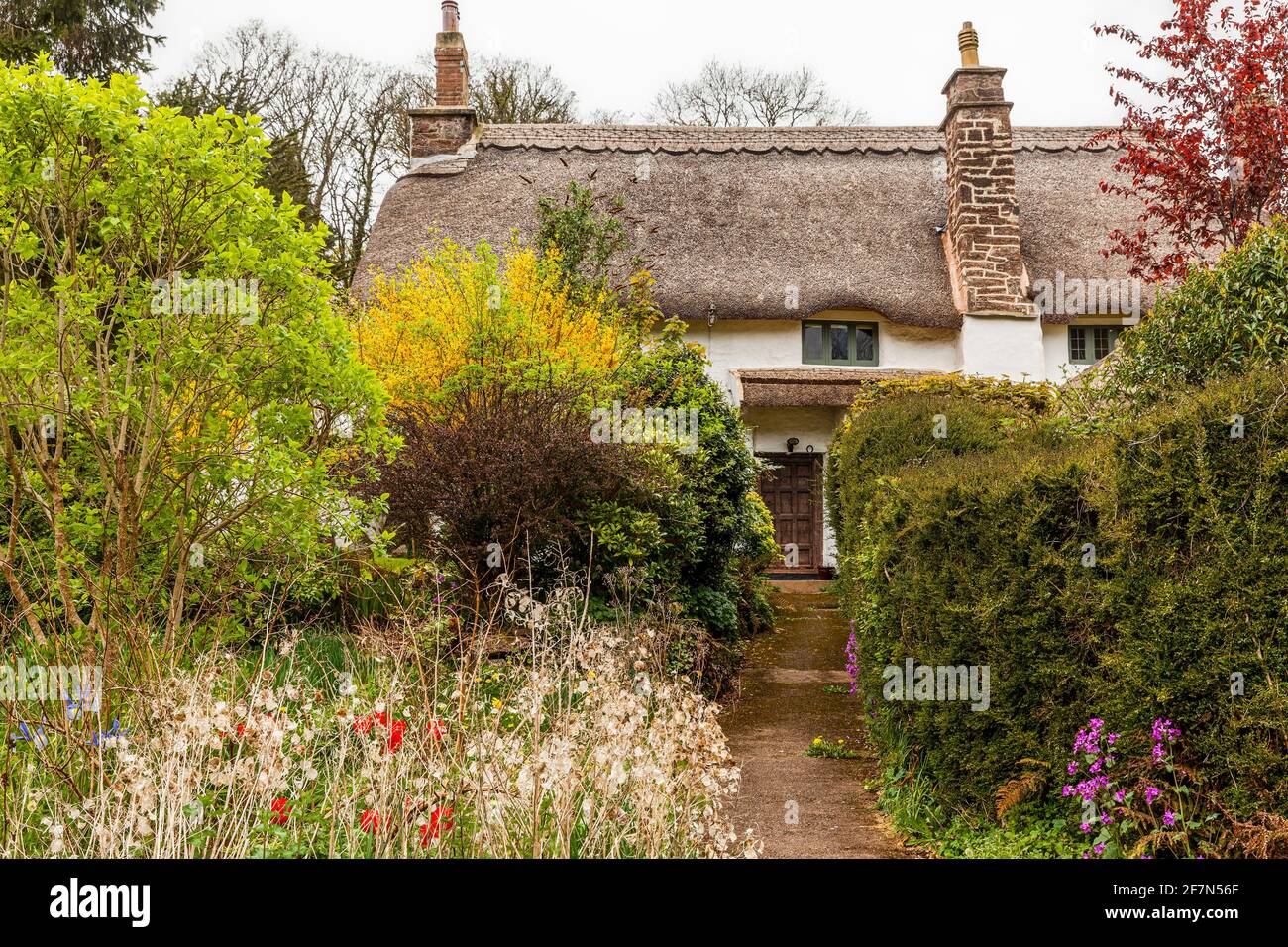 Thatched Cottage in Cockington Devon Stock Photo - Alamy Thatched Cottage in Cockington Devon Stock Photo - Alamy