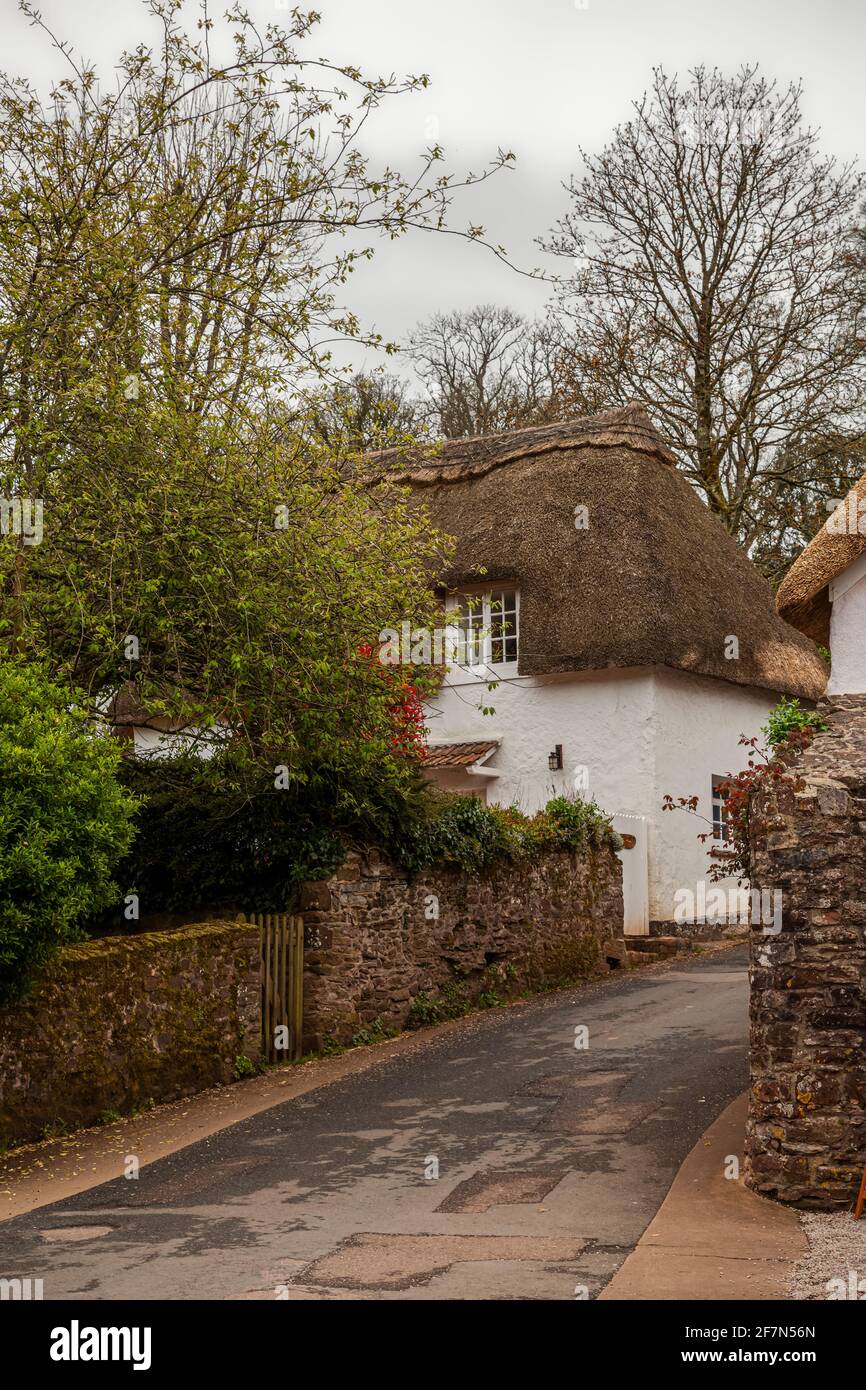 Thatched Cottage in Cockington in Devon Stock Photo - Alamy Thatched Cottage in Cockington in Devon Stock Photo - Alamy