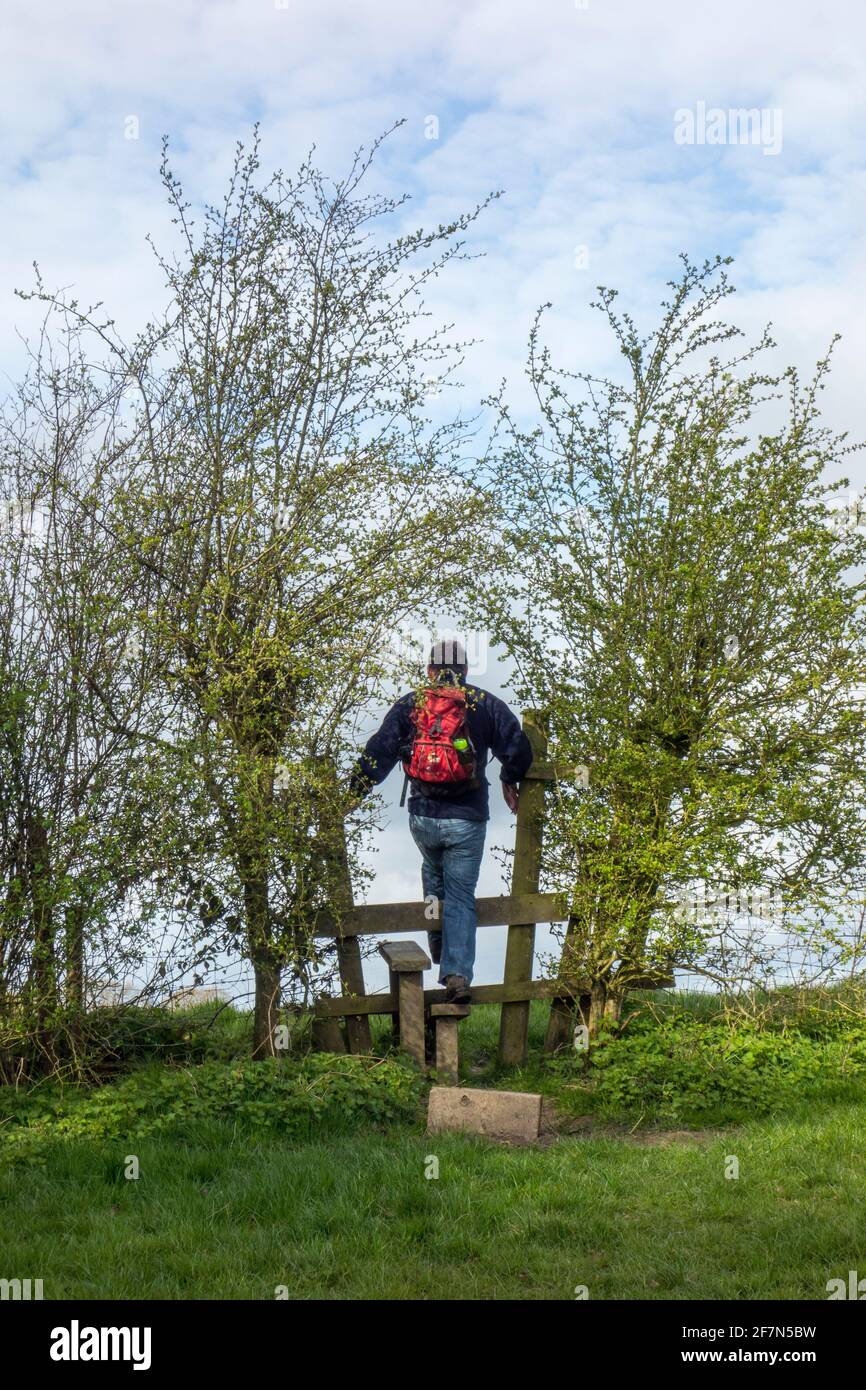 Rambleing hi-res stock photography and images - Alamy