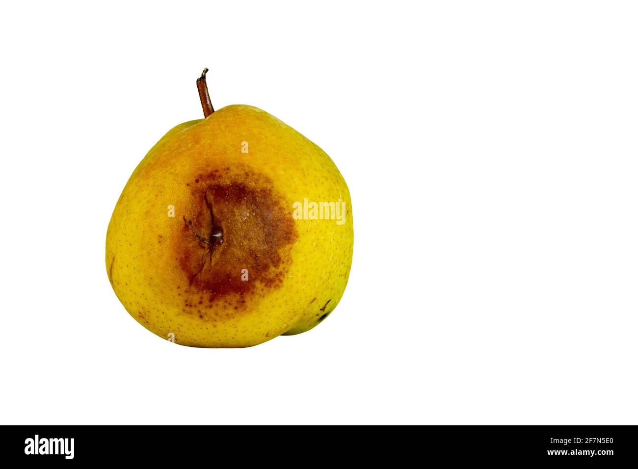 Rotten pear hi-res stock photography and images - Alamy