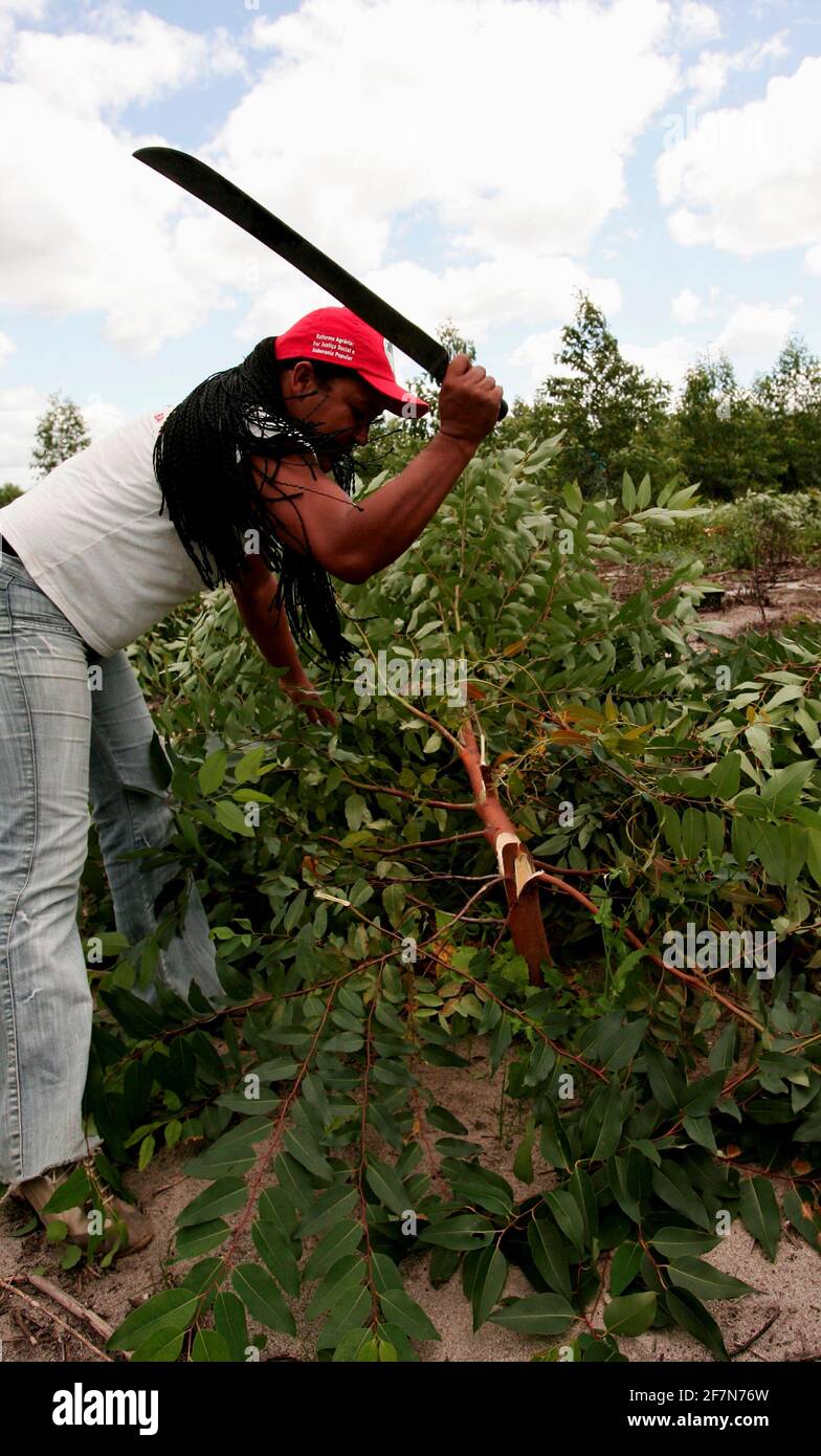 Mst flag hi-res stock photography and images - Alamy