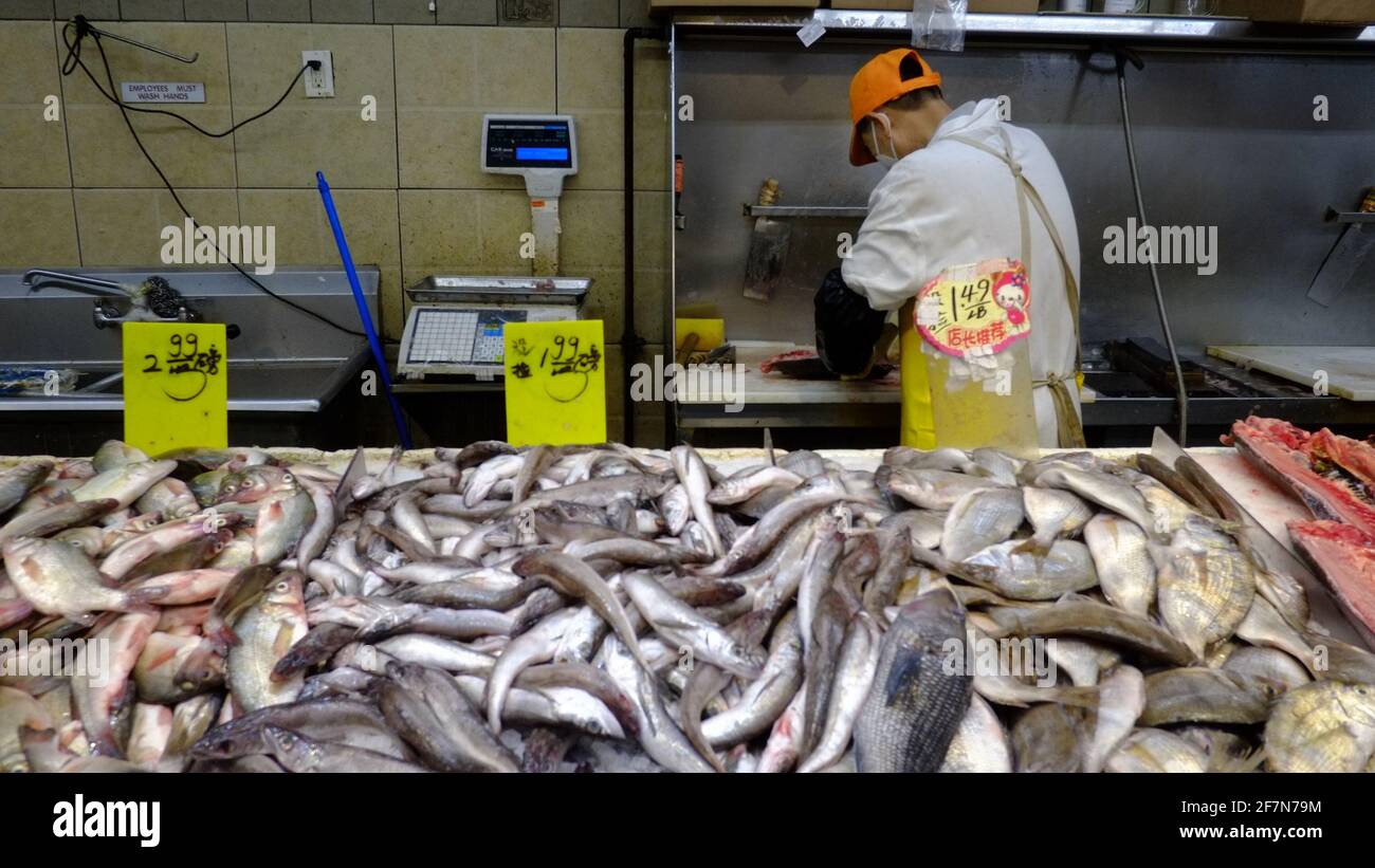 Chinatown, New York City, fish store, fish on display Stock Photo - Alamy