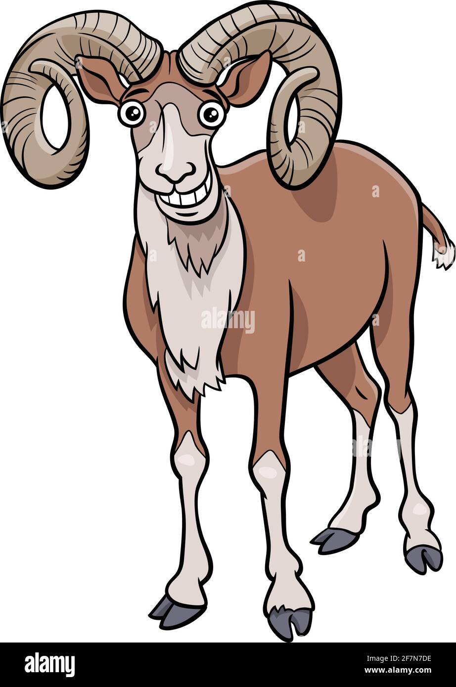 Urial sheep Stock Vector Images - Alamy