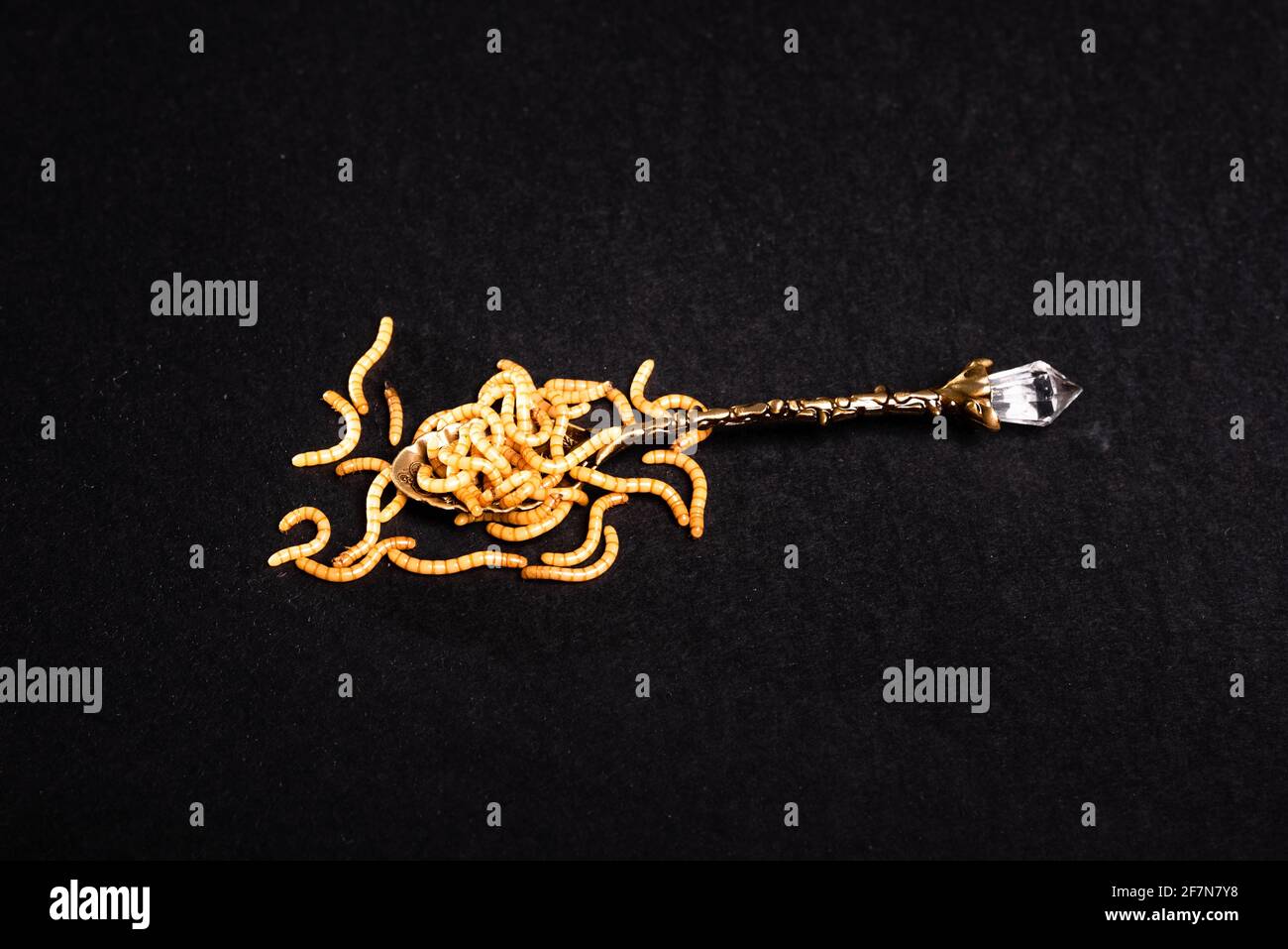 worms in a spoon, on an isolated disgusting background Stock Photo - Alamy