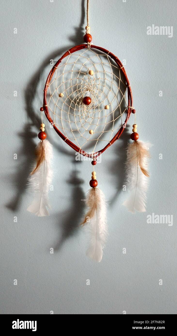 Typical of North American indigenous culture, this craft is called a ...
