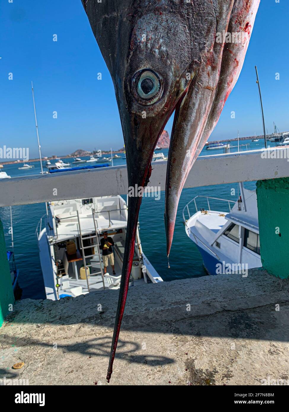 Caza caza y pesca hi-res stock photography and images - Alamy
