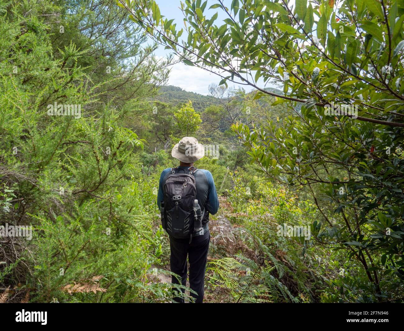 Tracking along the overgrown SE walking track. Wilsons Promontory ...