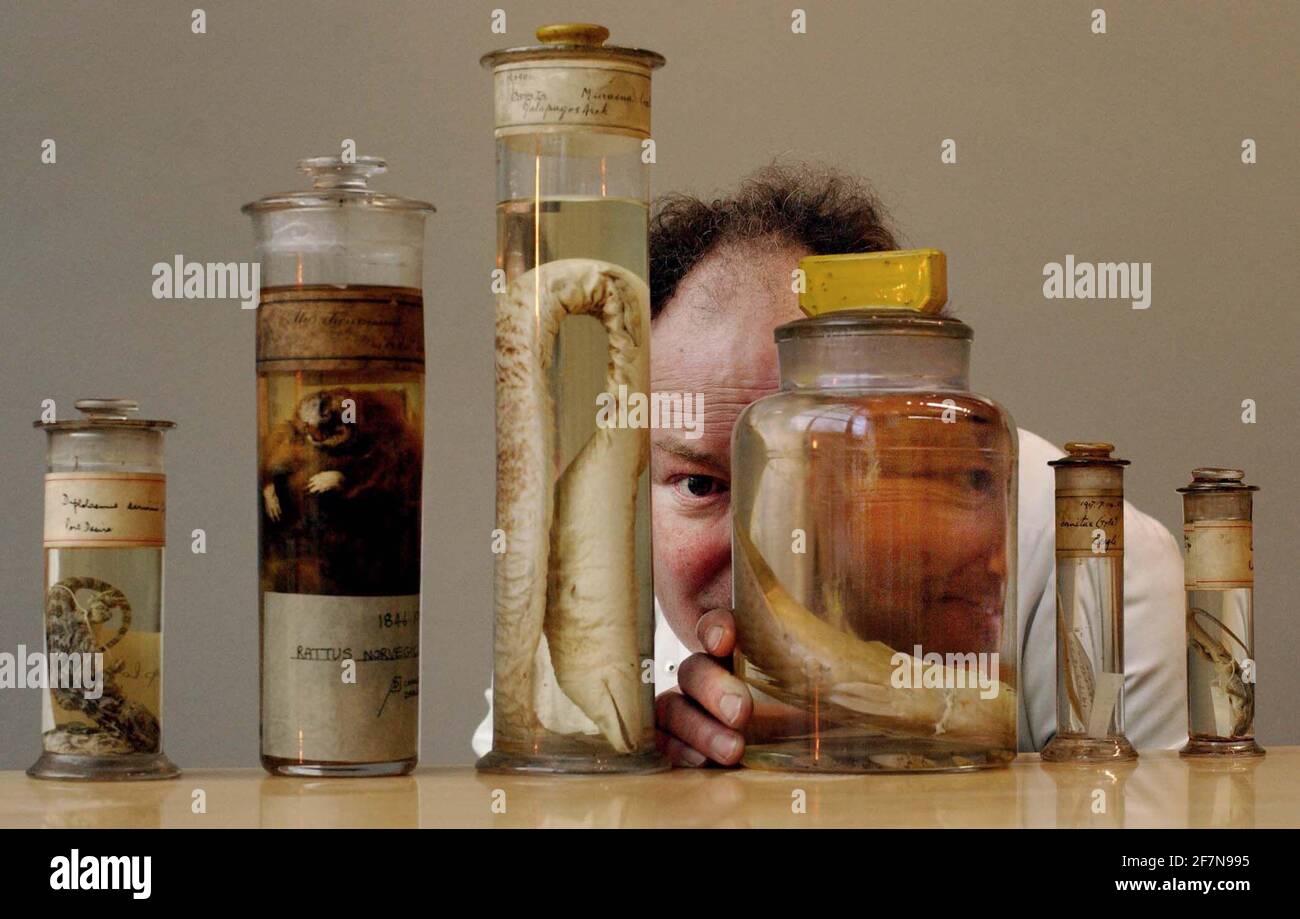 TO MARK THE ANNIVERSARY OF DARWINS BIRTH OLIVER CRIMMEN,FISH CURATOR AT ...