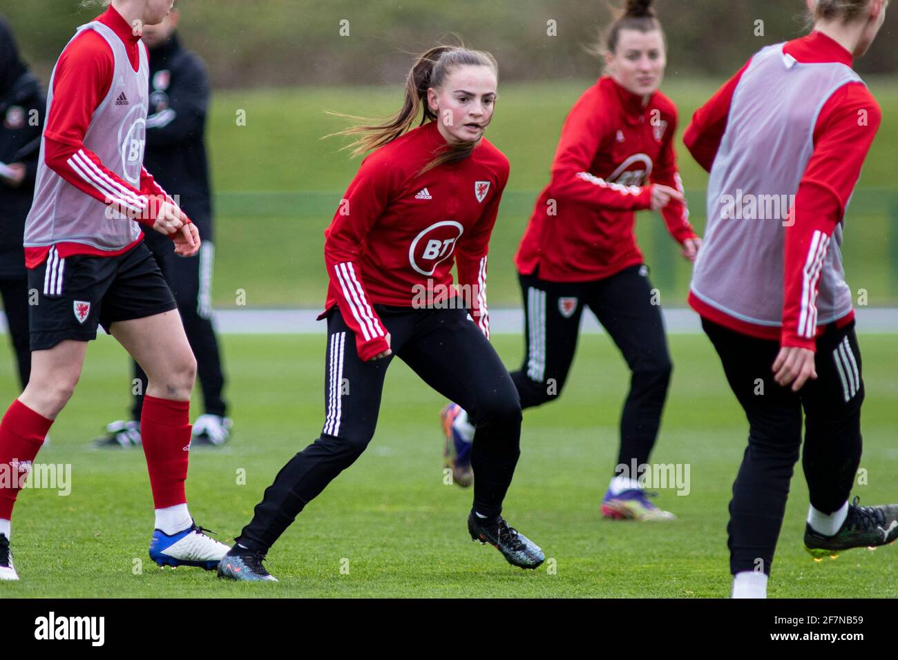 Lily woodham wales hi-res stock photography and images - Alamy