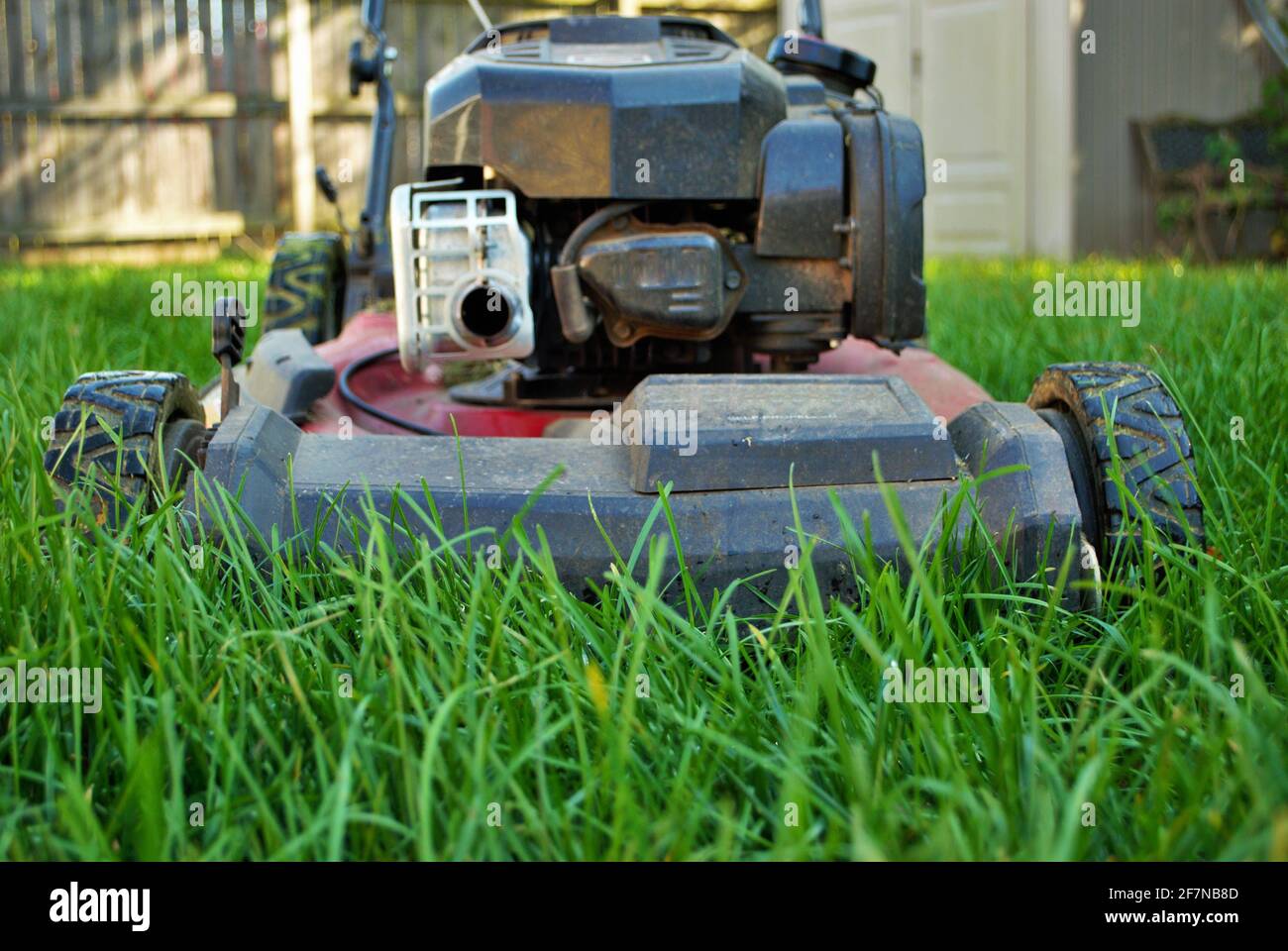 Ground level view of a lawnmower in tall grass Stock Photo - Alamy