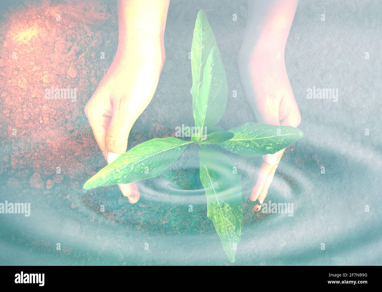 Environmental appreciation hi-res stock photography and images - Alamy