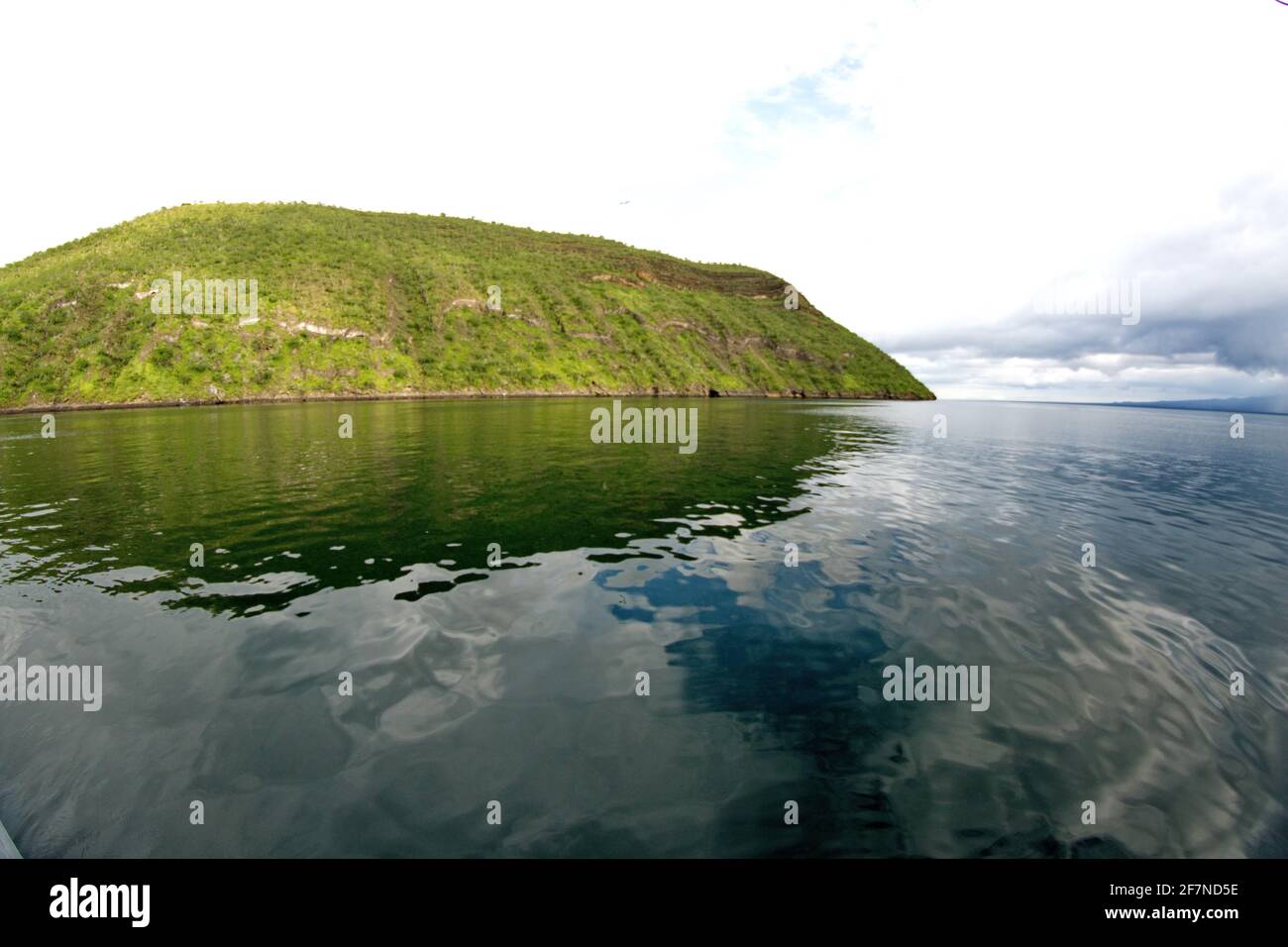 Lush, green hill around Tagus Cove, Isabela Island, Ecuador, taken with ...