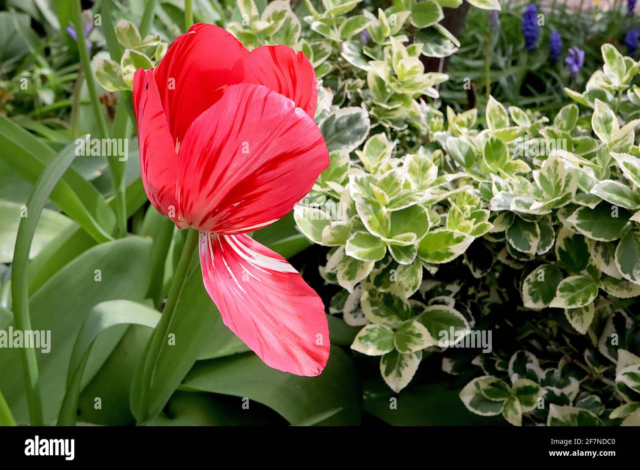 Eijk High Resolution Stock Photography and Images - Alamy