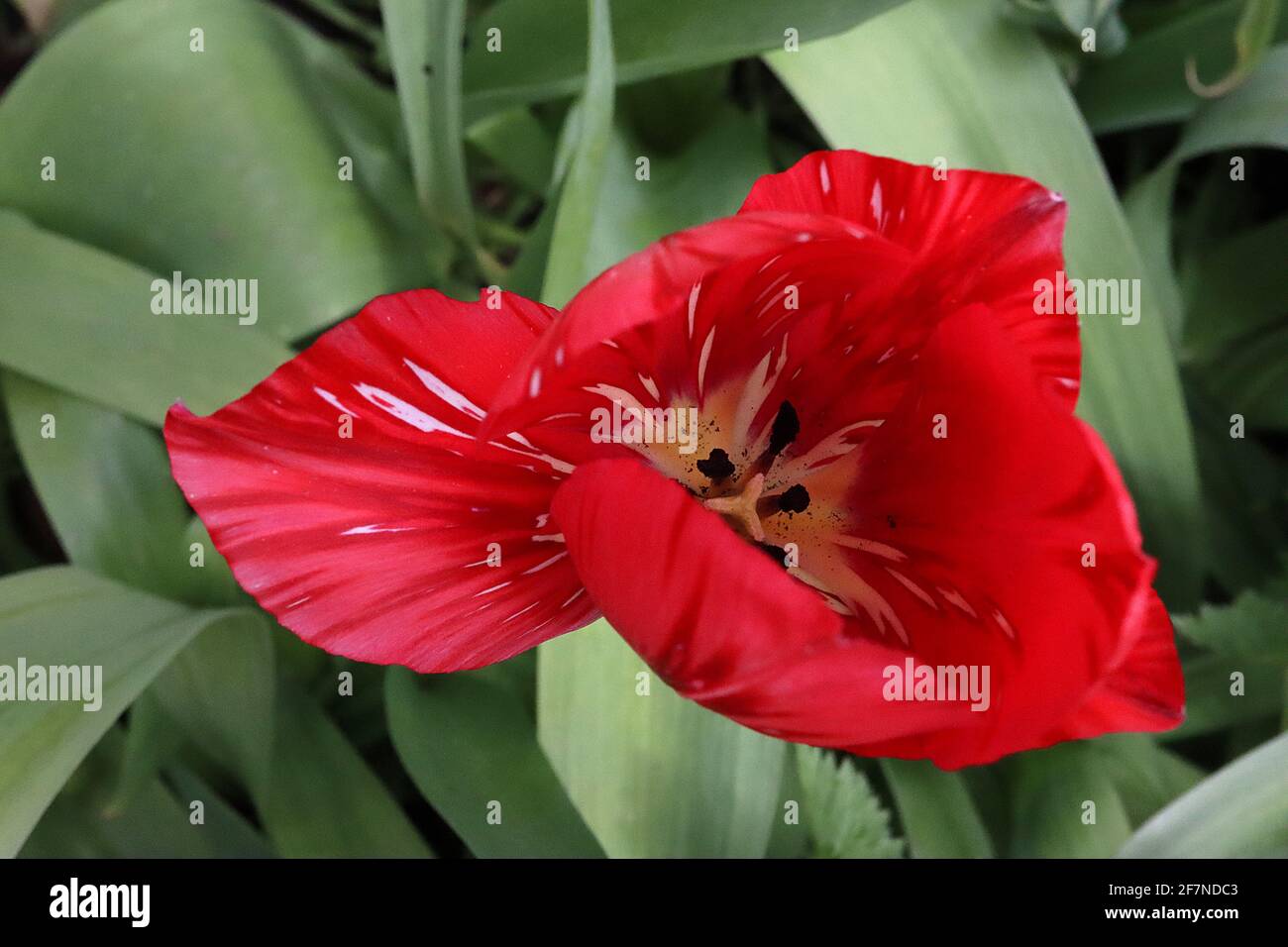 Eijk High Resolution Stock Photography and Images - Alamy