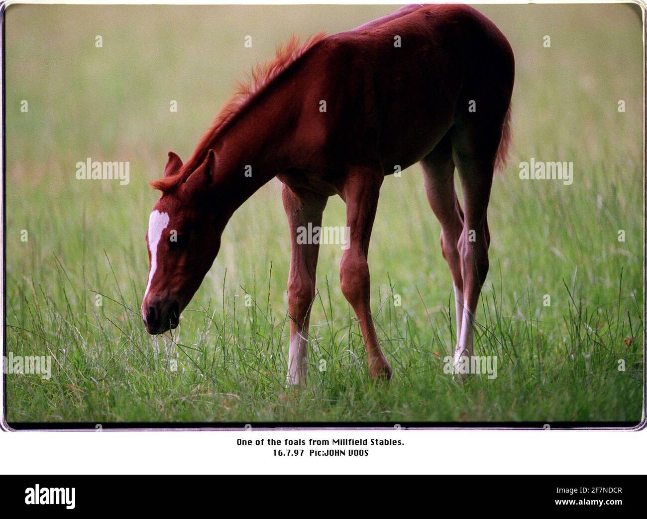 Millfield High Resolution Stock Photography and Images - Alamy