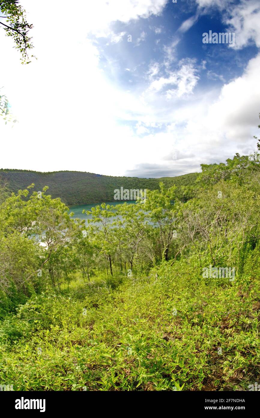 Overhead view of a crater lake at Tagus Cove, Isabela Island, Ecuador ...