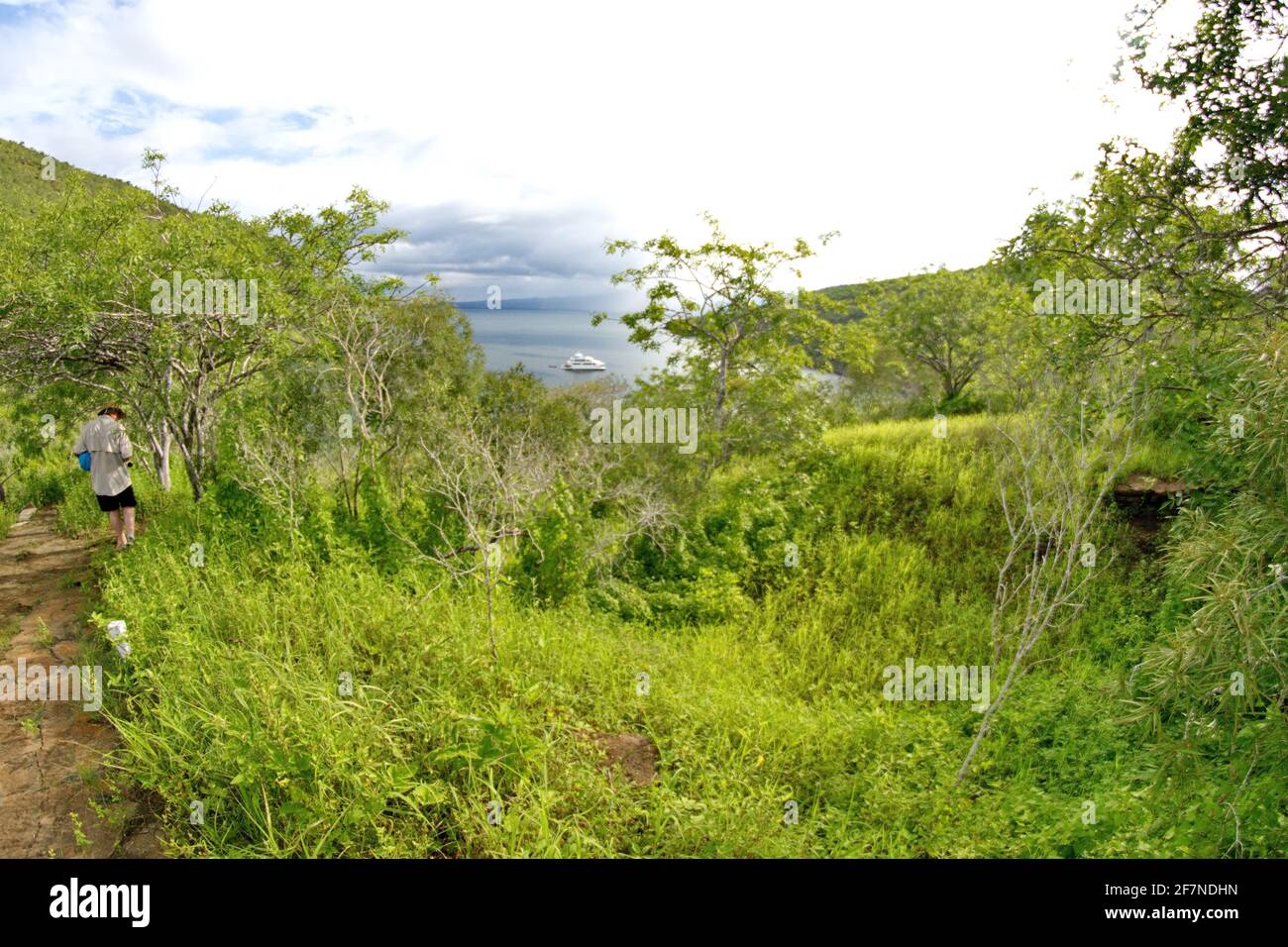 Overhead view of Tagus Cove, Isabela Island, Ecuador, taken with a ...