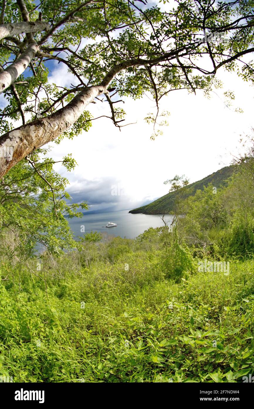 Overhead view of Tagus Cove, Isabela Island, Ecuador, taken with a ...