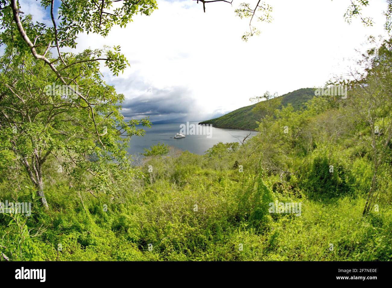 Overhead view of Tagus Cove, Isabela Island, Ecuador, taken with a ...