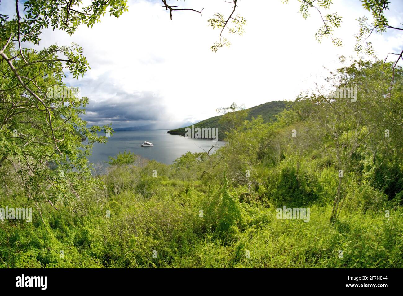 Overhead view of Tagus Cove, Isabela Island, Ecuador, taken with a ...