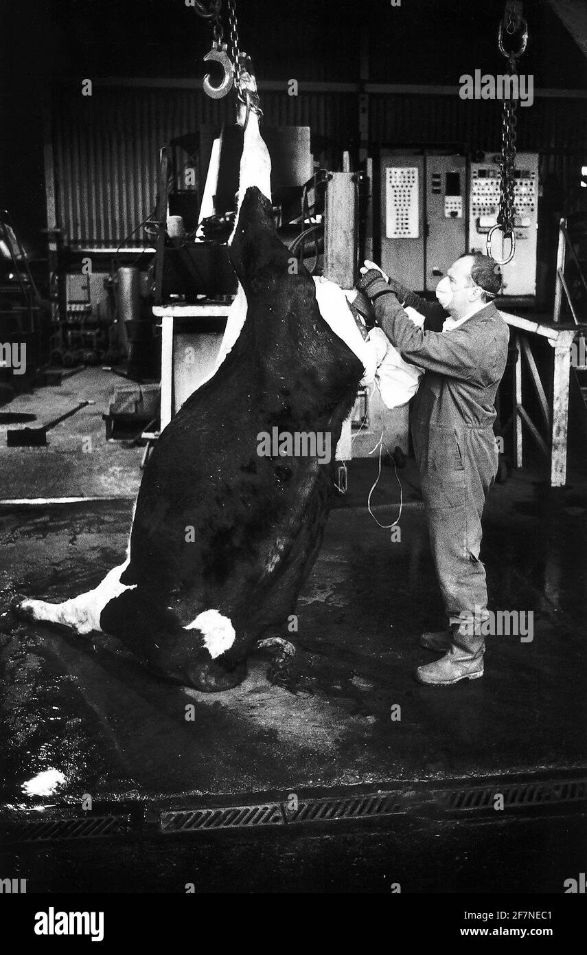 Cjd disease hi-res stock photography and images - Alamy