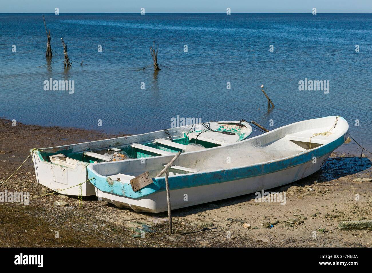 Two traditional Mexican Panga fishing boats sitting on the sand at low ...
