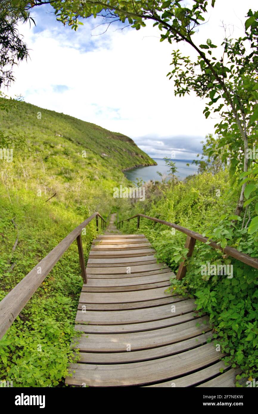 Wooden steps leading to a scenic trail at Tagus Cove, Isabela Island ...