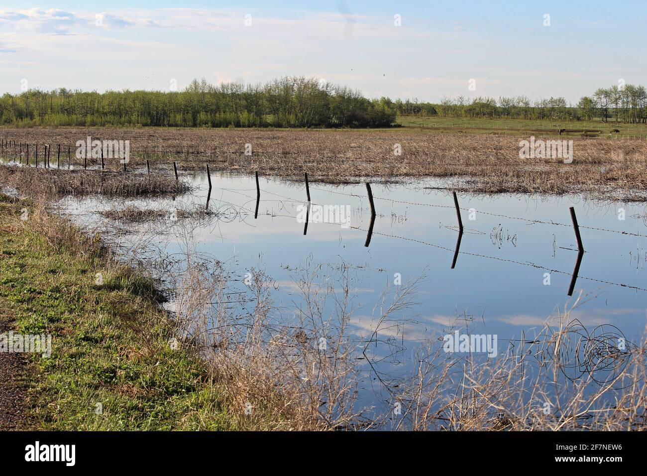 A flooded fence along a wetland area Stock Photo - Alamy