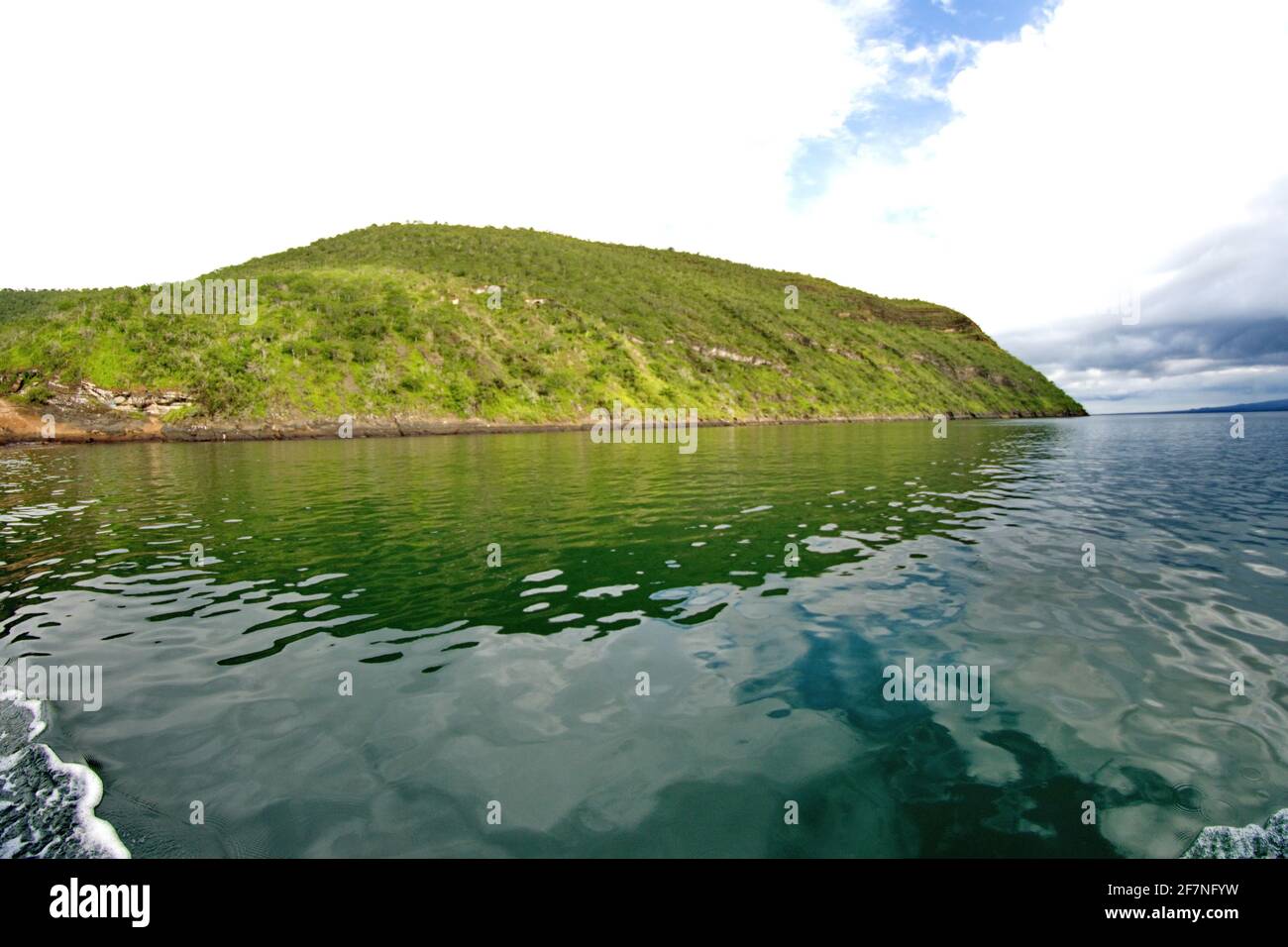 Lush, green hill around Tagus Cove, Isabela Island, Ecuador, taken with ...