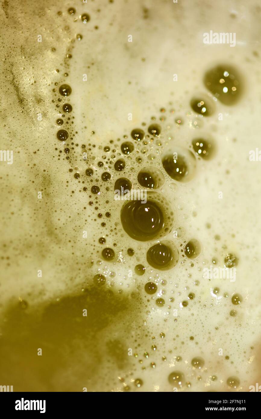 Foam colorful bubbles close up background modern high quality big size ...