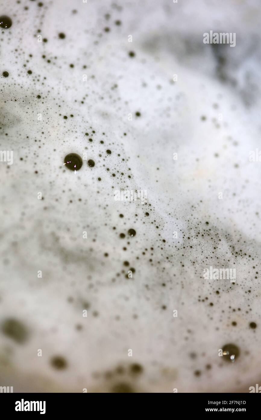 Foam colorful bubbles close up background modern high quality big size ...