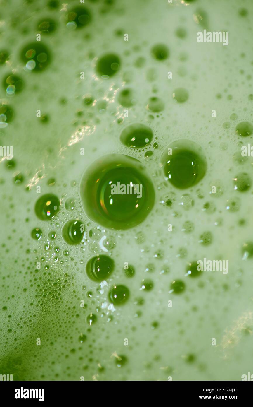 Foam colorful bubbles close up background modern high quality big size ...