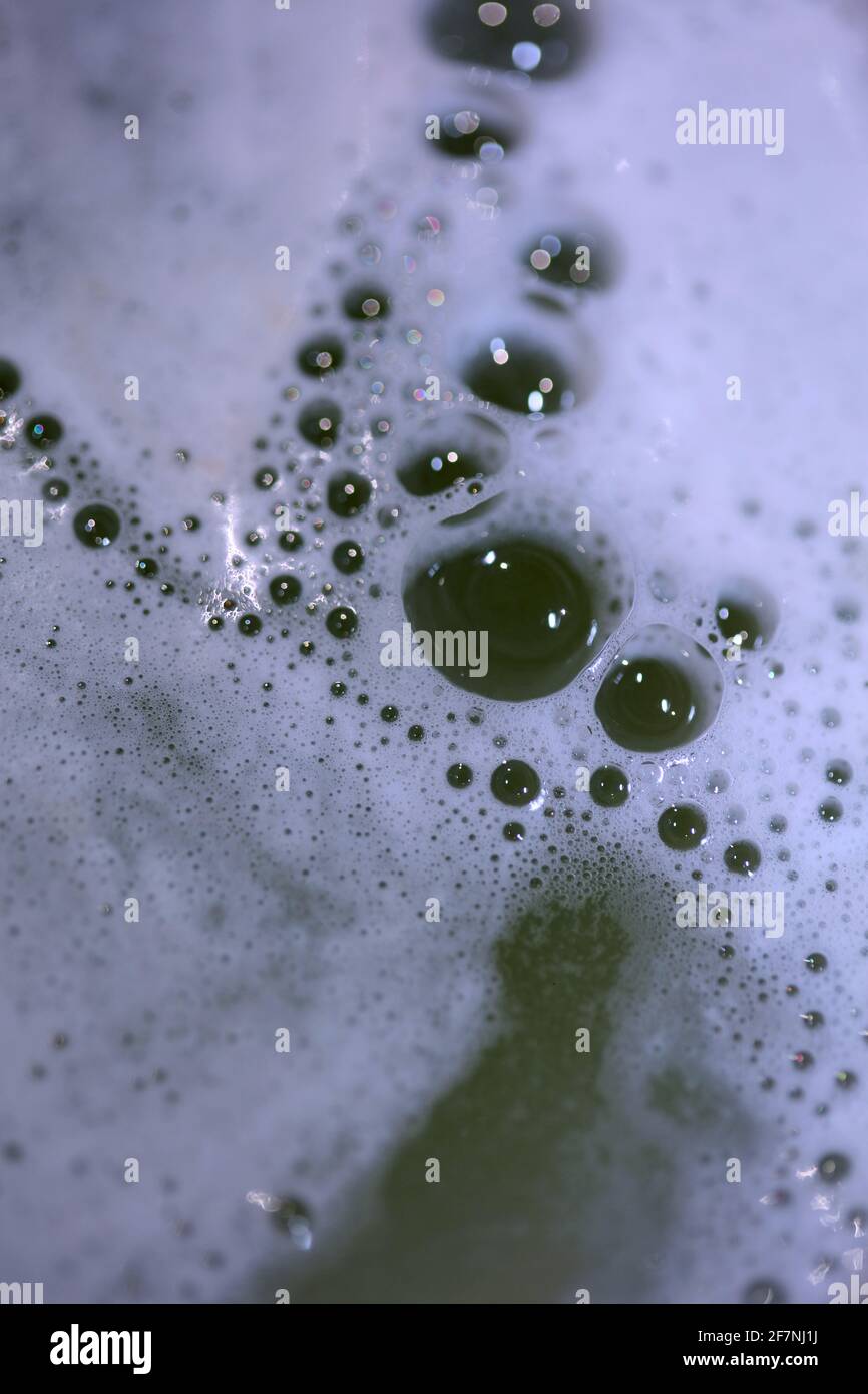 Foam colorful bubbles close up background modern high quality big size ...