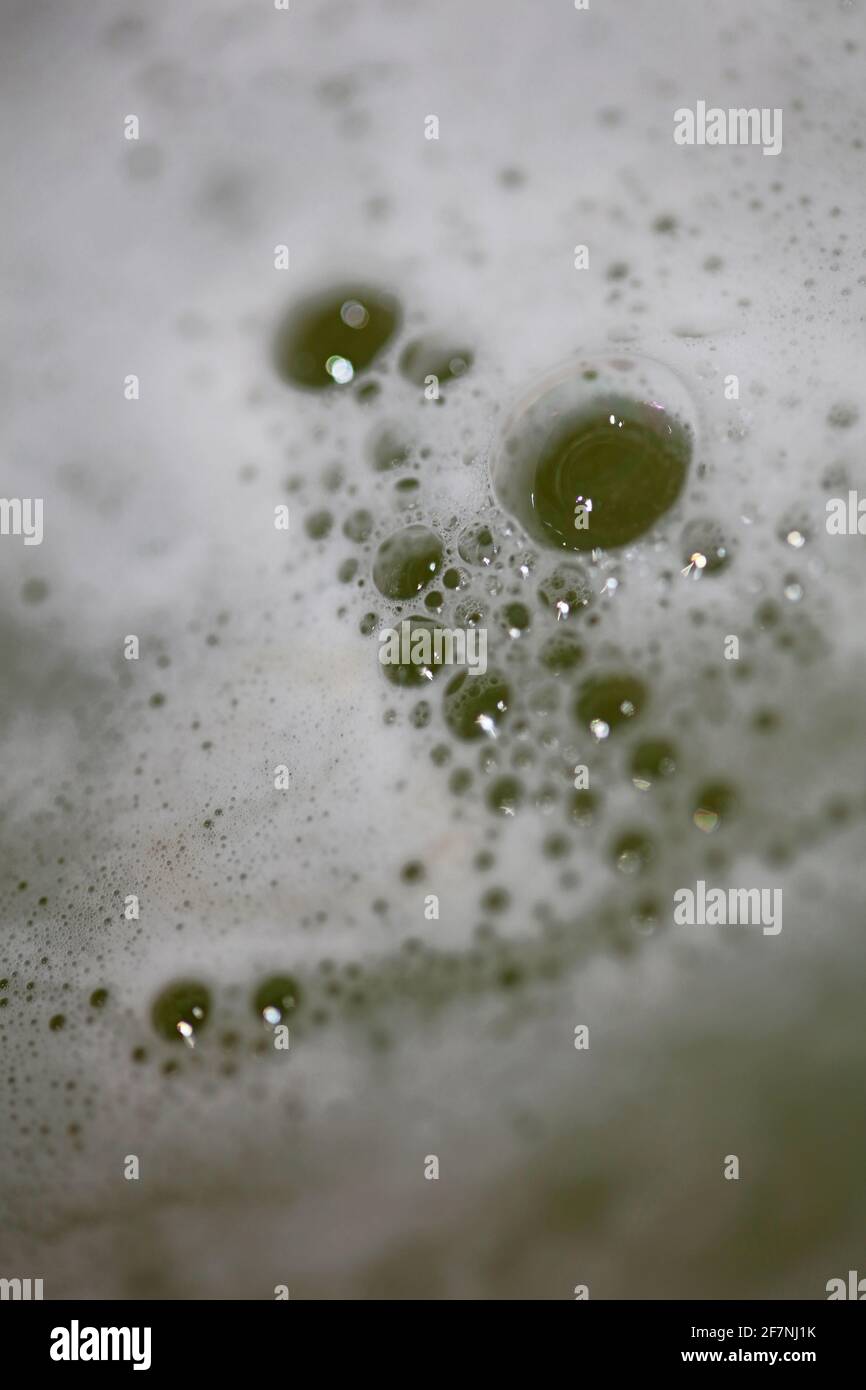 Foam colorful bubbles close up background modern high quality big size ...