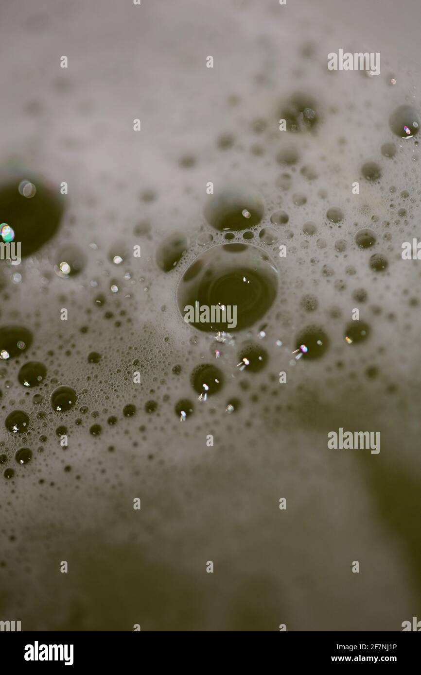 Foam colorful bubbles close up background modern high quality big size ...