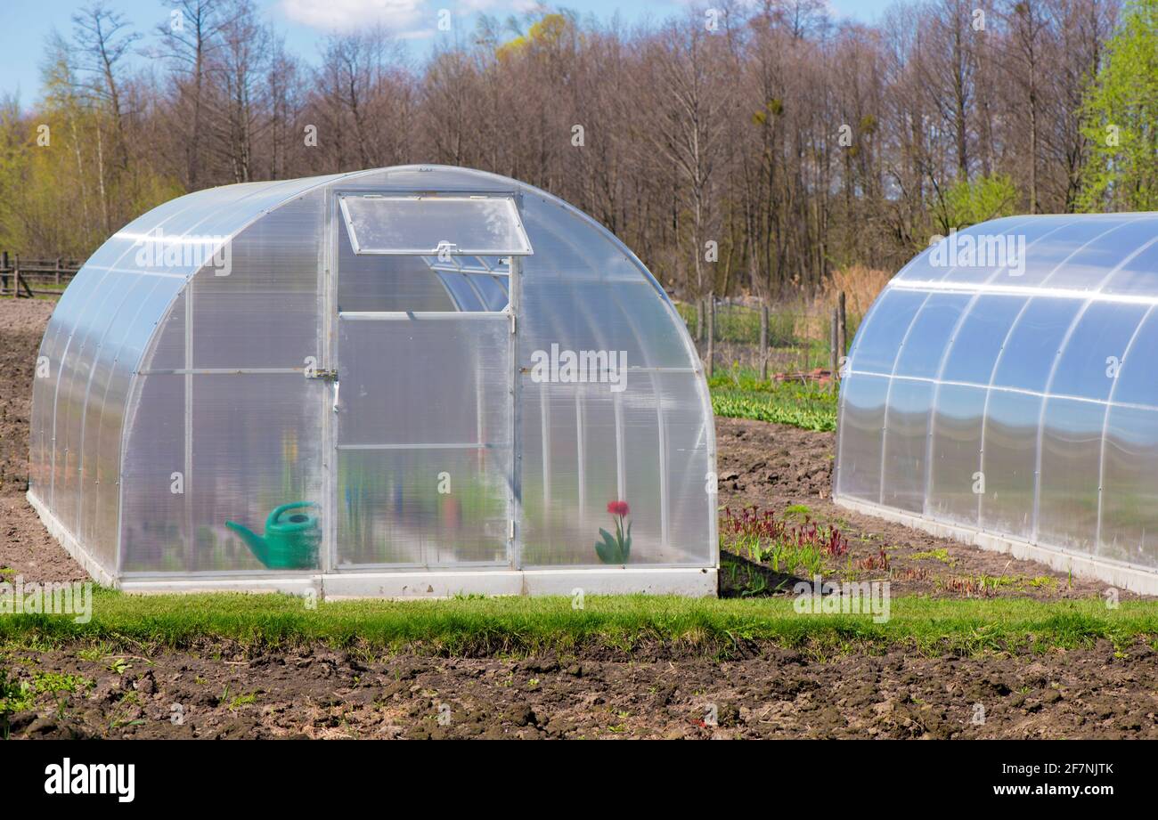 Cold frame tomato hi-res stock photography and images - Alamy