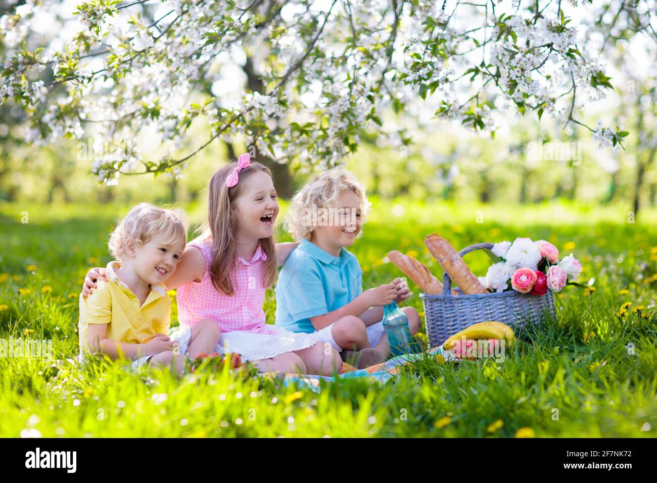 Family picnic in spring park with blooming cherry trees. Kids eating ...