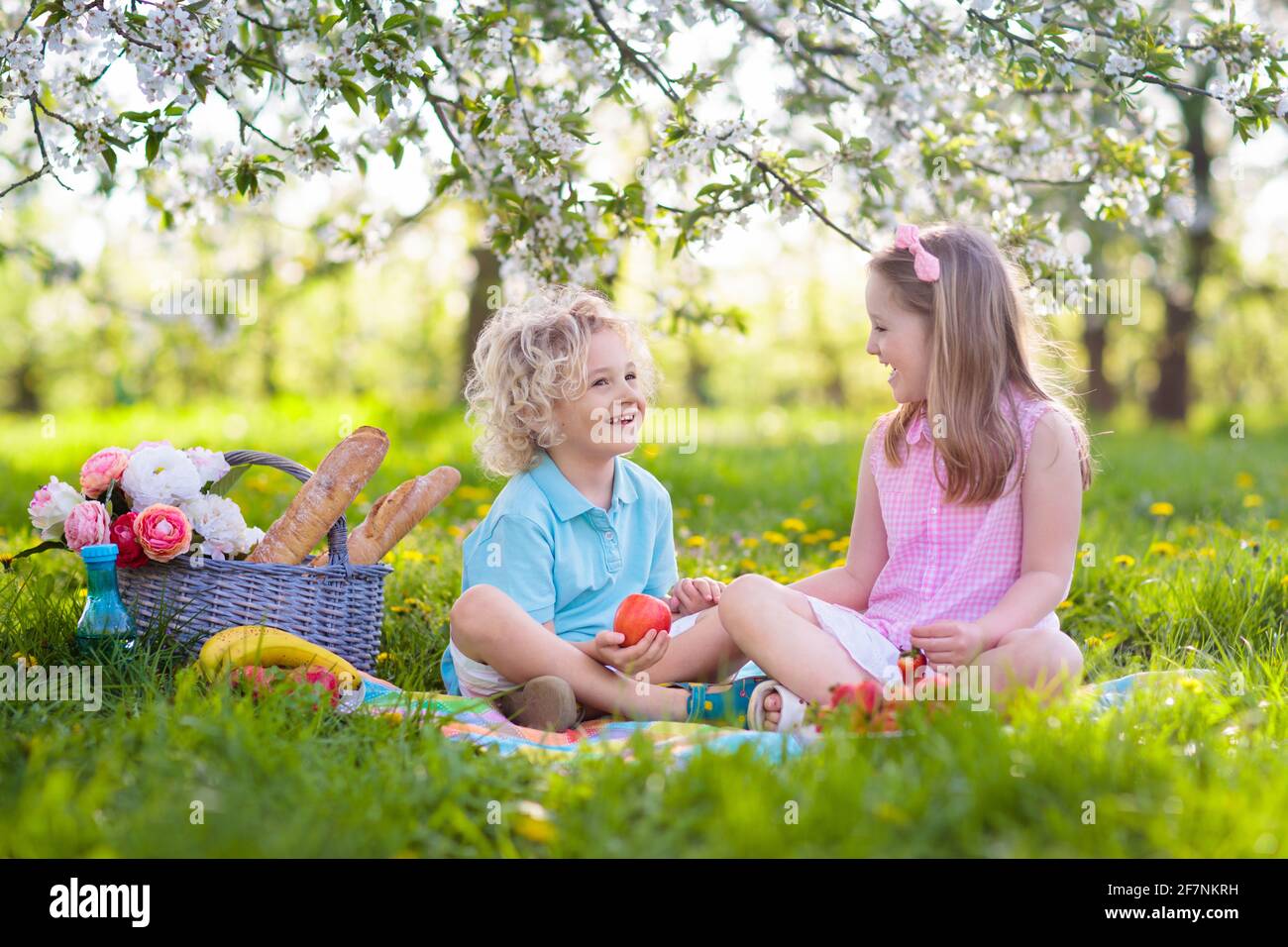 Family picnic in spring park with blooming cherry trees. Kids eating ...