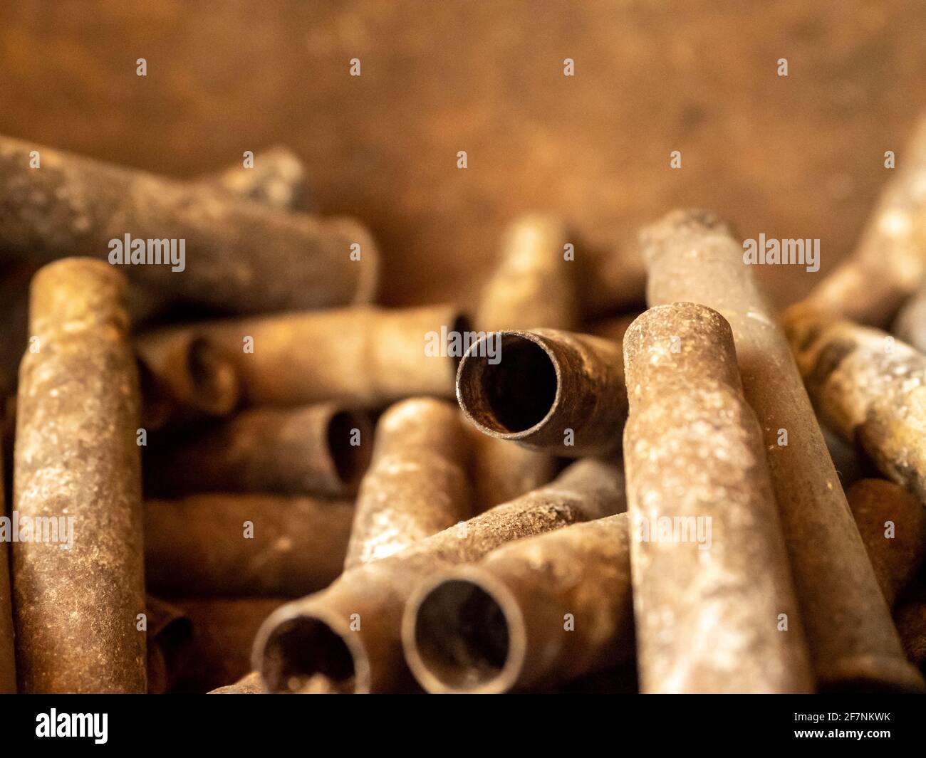 Spent shell casings left behind at the Lightstation, Wilsons Promontory ...