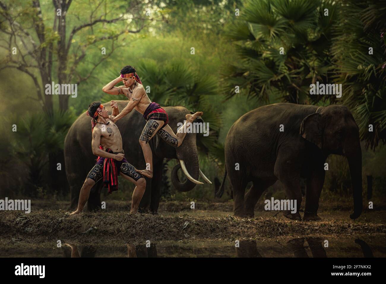 Elephant boxer boxing hi-res stock photography and images - Alamy