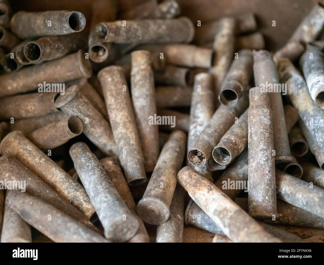 Shell casings hi-res stock photography and images - Alamy